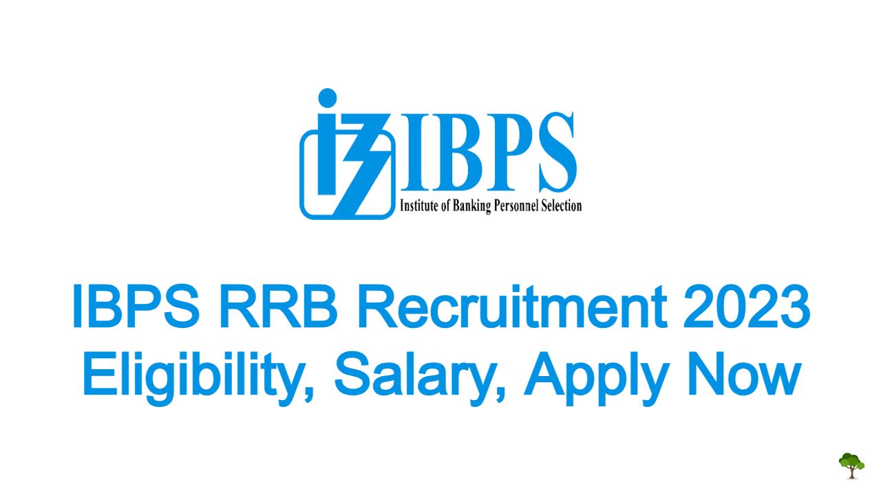 IBPS RRB Recruitment 2023 Eligibility, Salary, Exam Fees